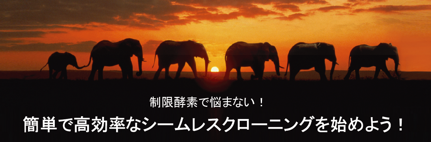 NEBuilder HiFi DNA Assembly | NEB