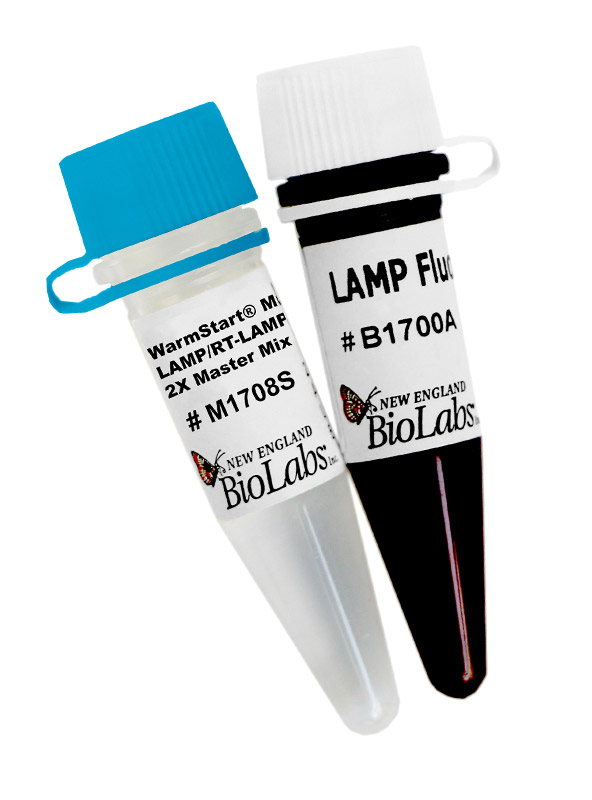 COVID-19研究 | NEB