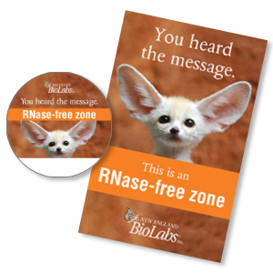 RNAの合成および修飾 | NEB