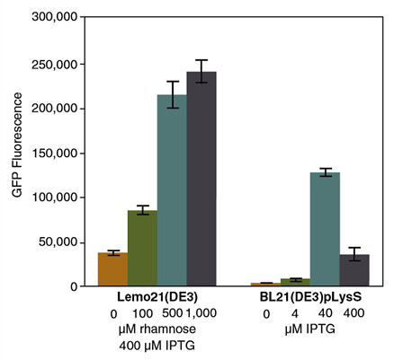 Membrane Protein Expression | NEB