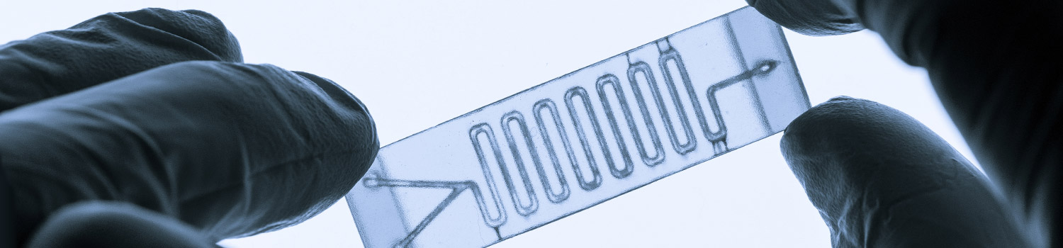 Glycerol-free and Lyo-compatible Reagents | NEB