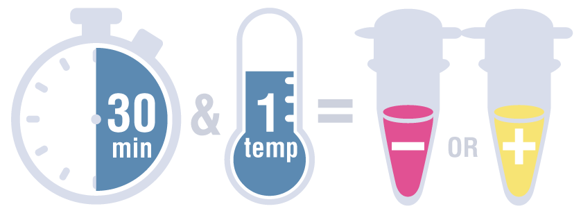 Sars Cov 2 Rapid Colorimetric Lamp Assay Kit Neb