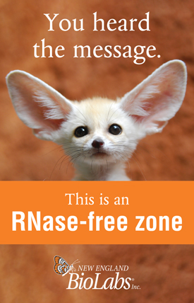 RNase-free Zone Sticker Pack Request Form | NEB