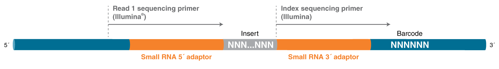 Do I have to use custom sequencing primers for my libraries generated ...