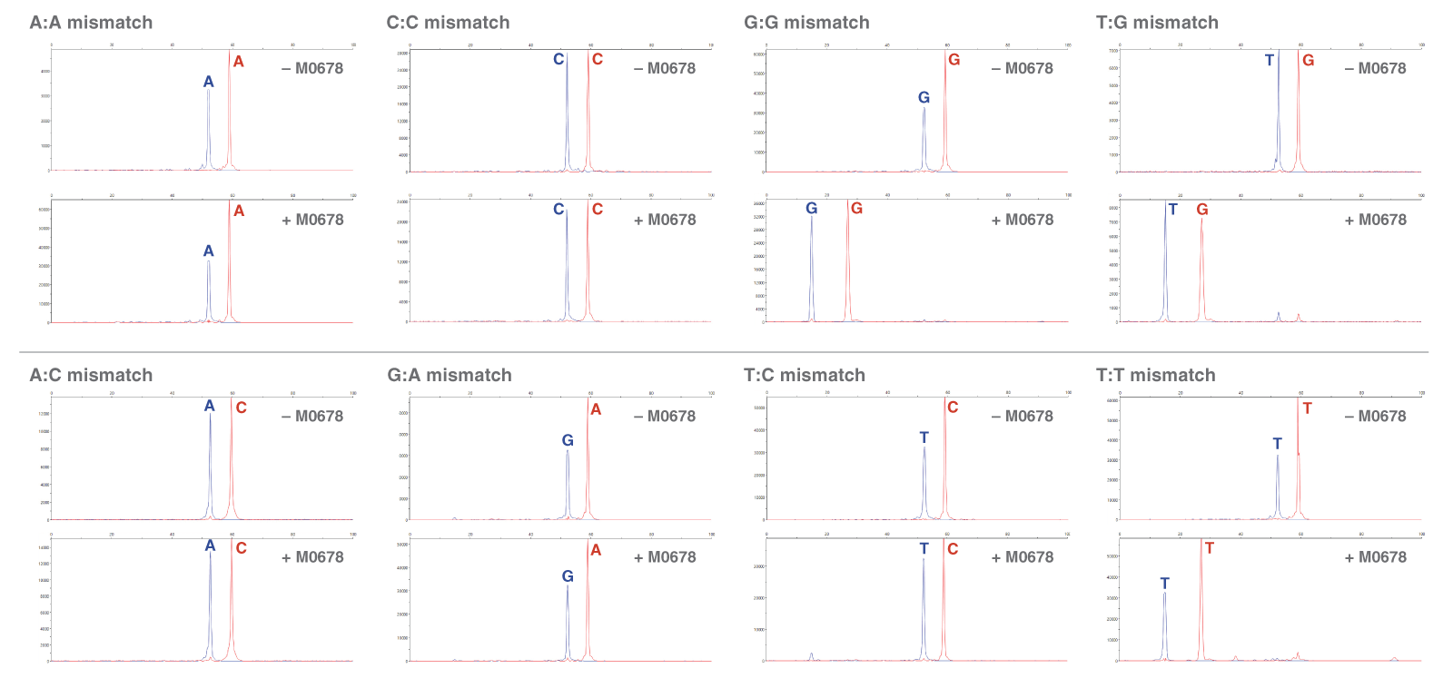 Mismatch Endonuclease I | NEB