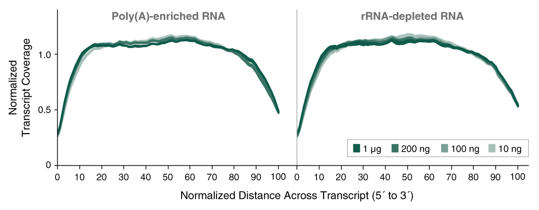 NEBNext® RNA Library Prep Kit for MGI® | NEB
