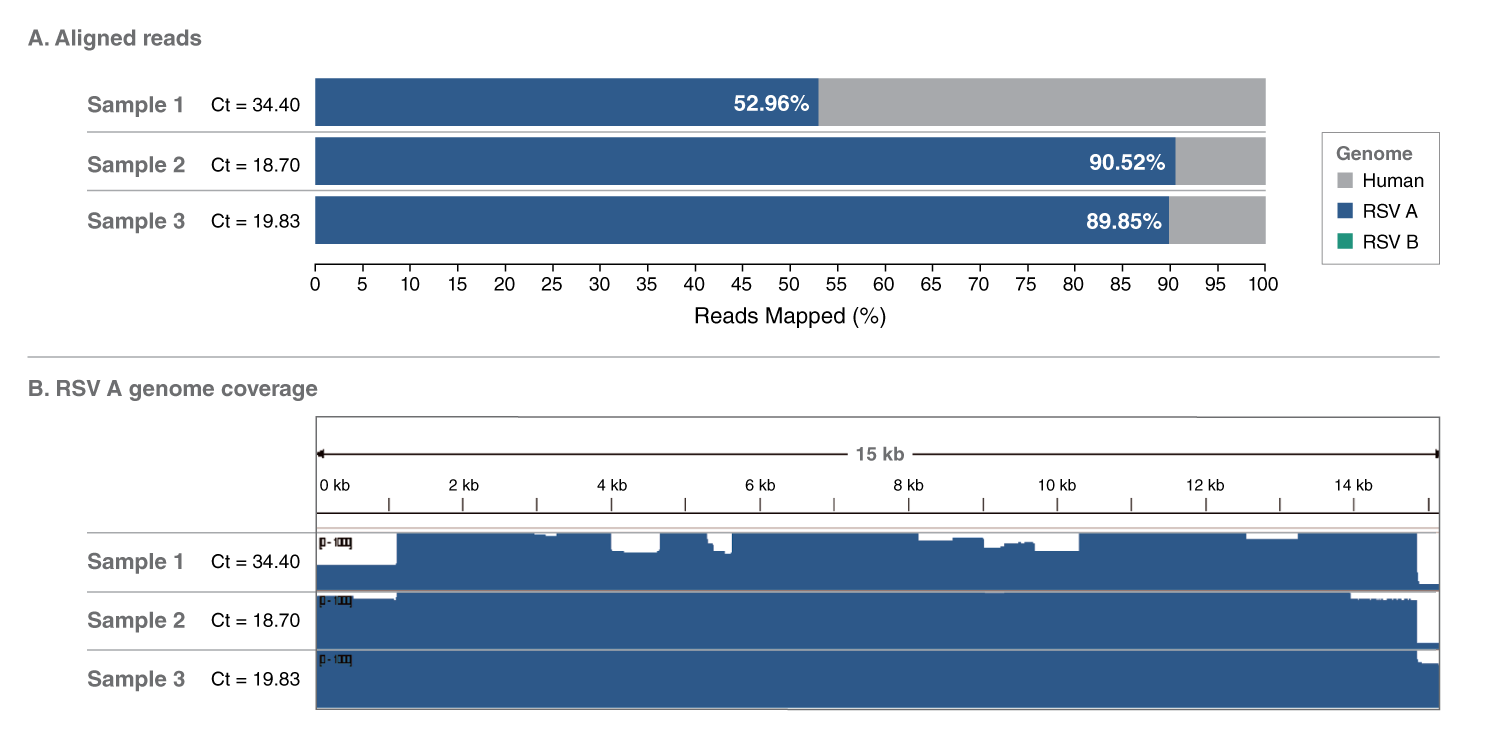 Respiratory Syncytial Virus (RSV) Sequencing | NEB