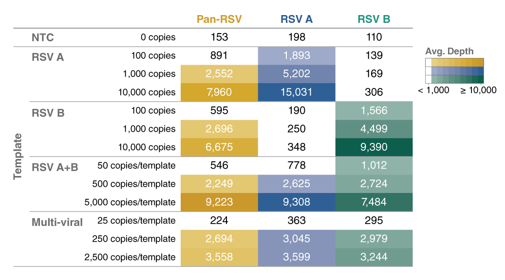 NEBNext® RSV Primer Module | NEB