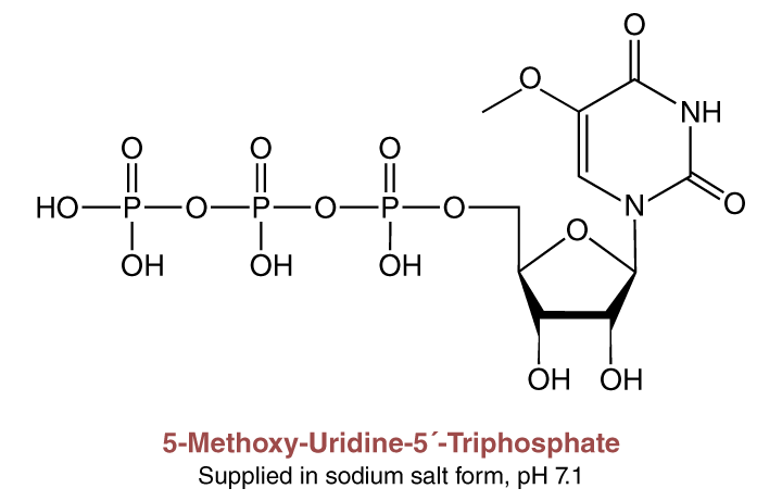 5-Methoxy-Uridine-5’-Triphosphate (5-Methoxy-UTP) | NEB