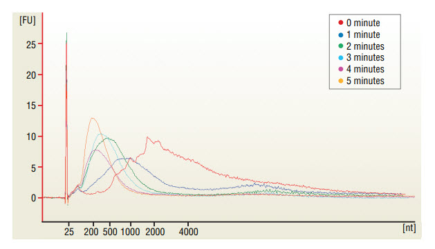 NEBNext® Magnesium RNA Fragmentation Module Protocol | NEB