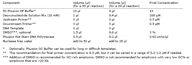Protocol for a PCR Reaction using Phusion Hot Start DNA Polymerase | NEB