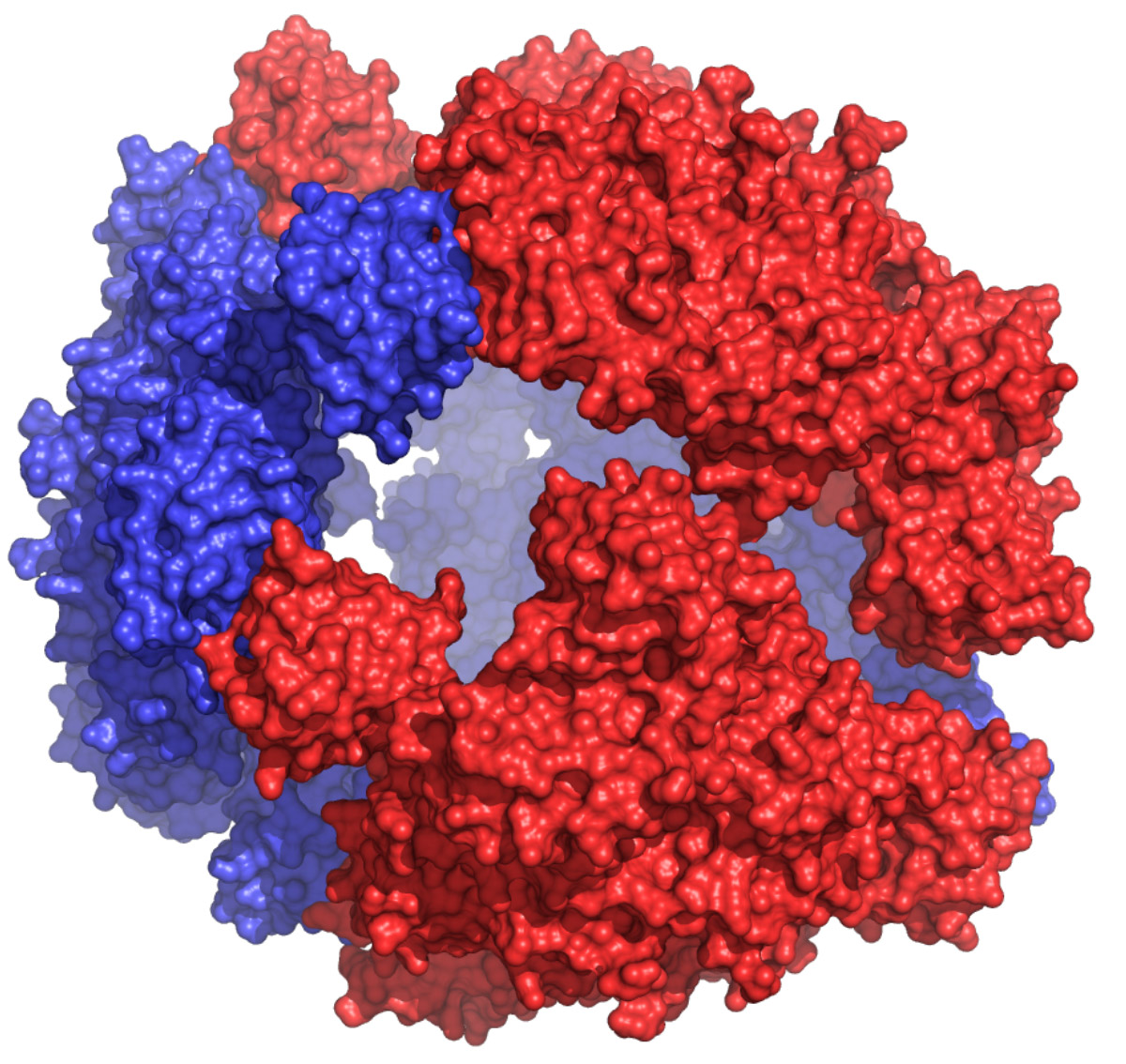 Periplasmic protein folding | NEB