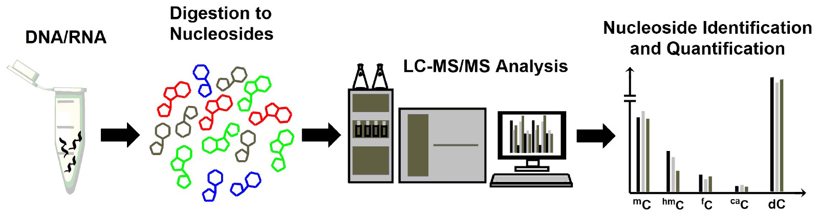 Nucleoside and nucleic acid analysis | NEB