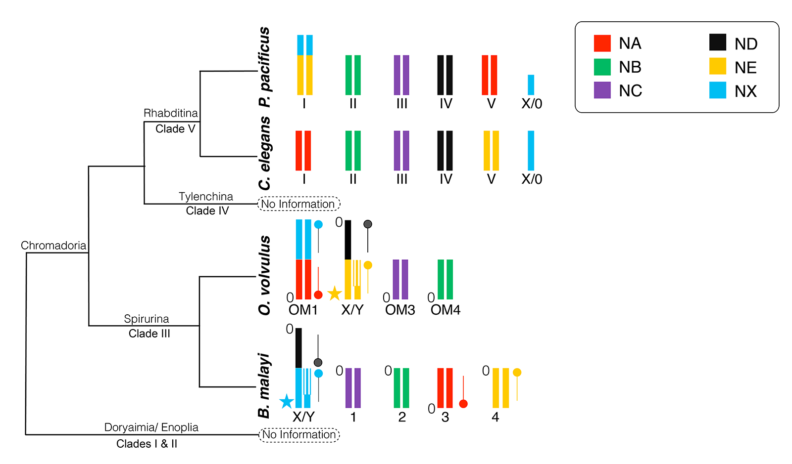 Genomics Transcriptomics | NEB