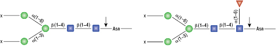 Detailed Characterization of Several Glycosidase Enzymes | NEB