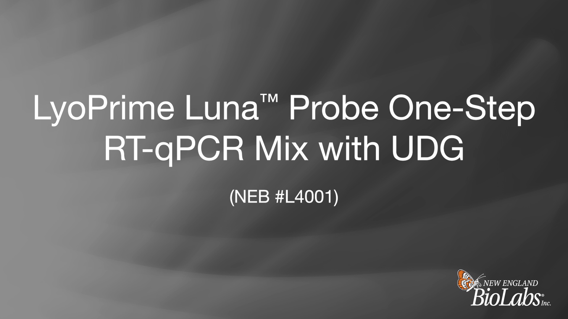 LyoPrime Luna® Probe One-Step RT-qPCR Mix with UDG | NEB