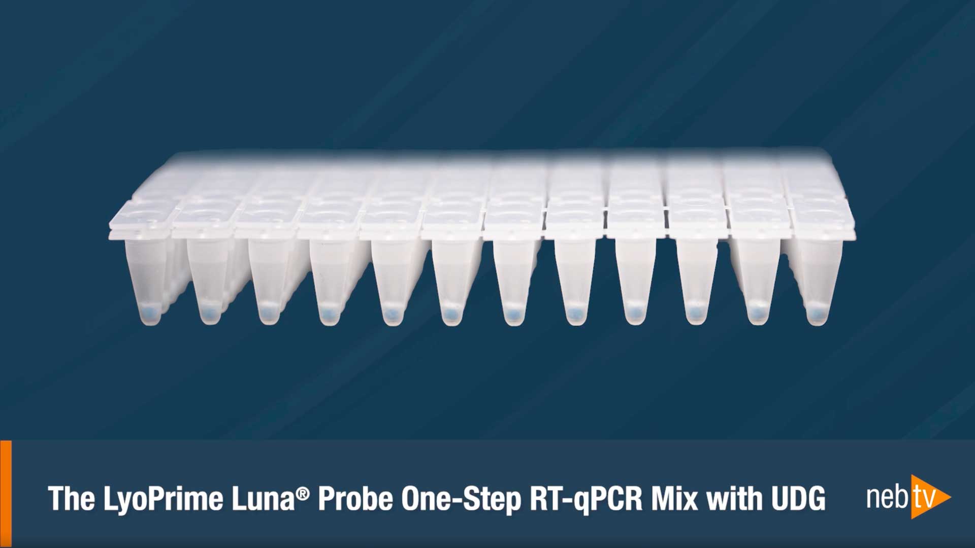LyoPrime Luna® Probe One-Step RT-qPCR Mix with UDG | NEB