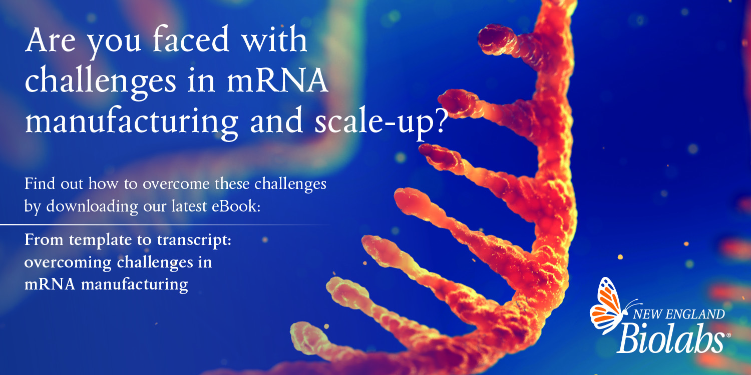 From Template to Transcript: Overcoming Challenges in mRNA ...