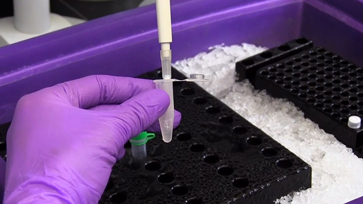 NEBNext® Ultra™ II DNA Library Prep Kit for Illumina® | NEB