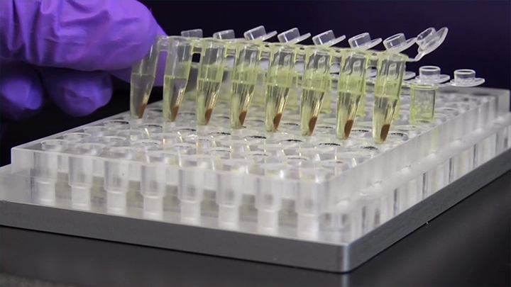 NEBNext® Ultra™ II DNA Library Prep Kit for Illumina® | NEB