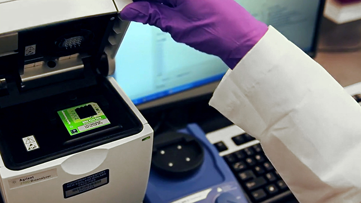 NEBNext Ultra II RNA Library Prep Kit for Illumina | NEB