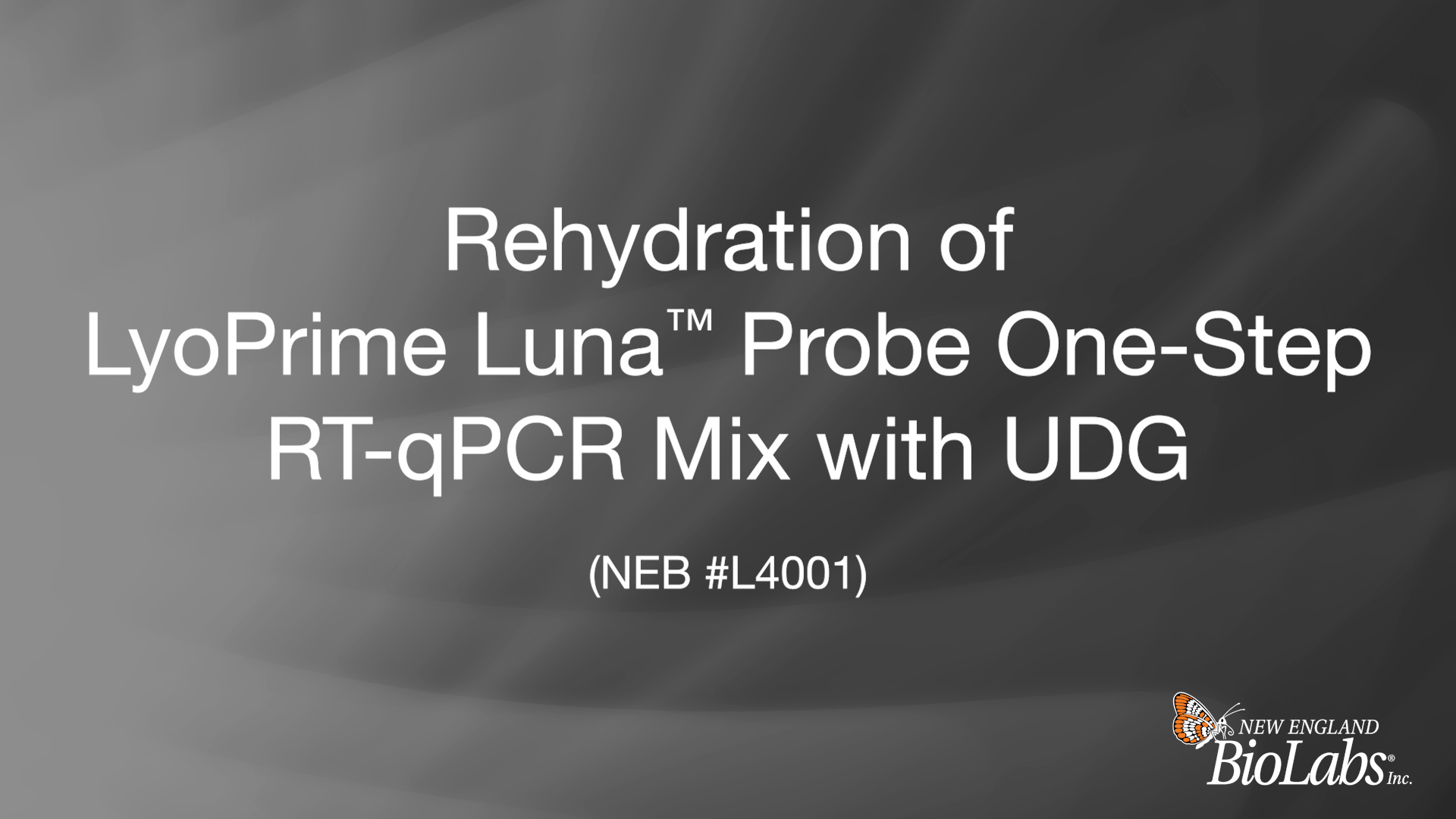 LyoPrime Luna® Probe One-Step RT-qPCR Mix with UDG | NEB