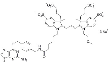 SNAP-Surface® 549 | NEB