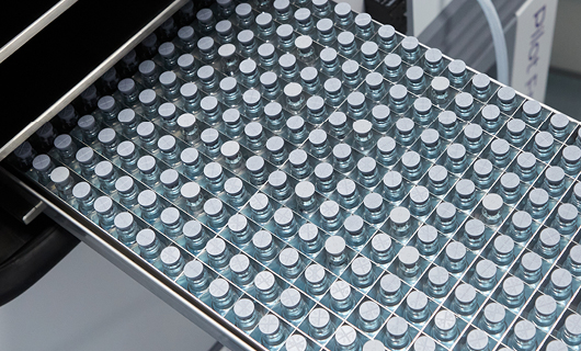 LyoPrime® Lyophilized Products from NEB | NEB