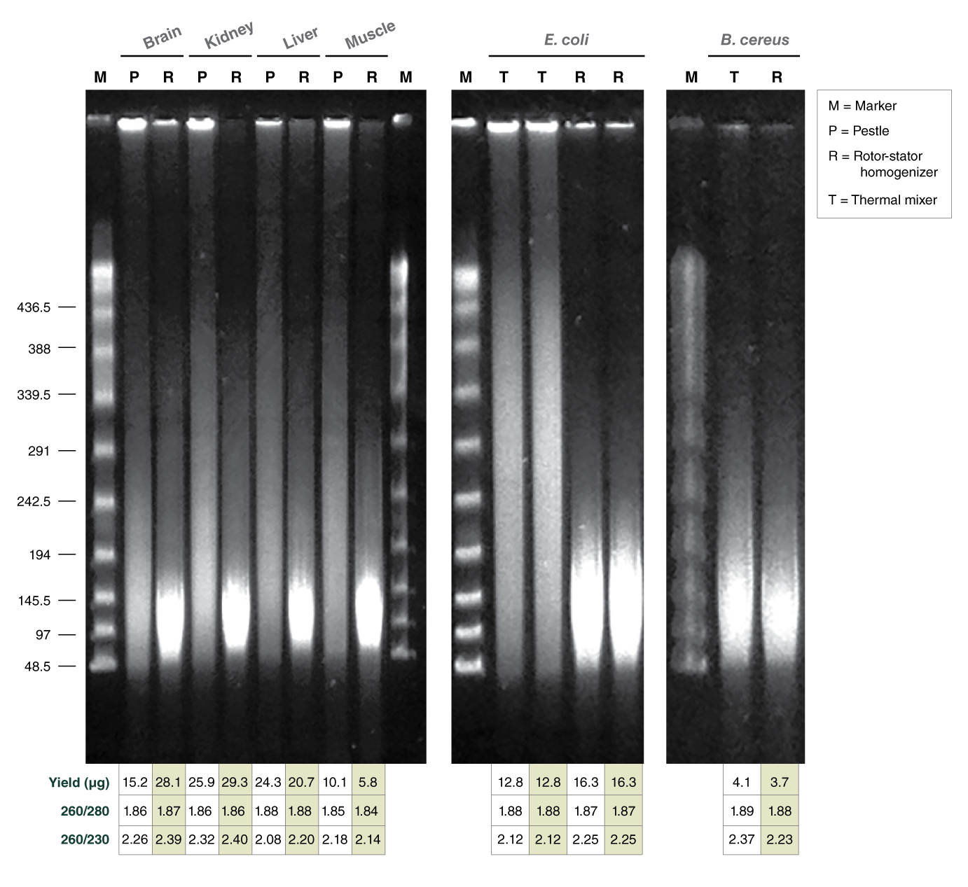 Do you see different fragmentation results when using the pestle versus ...