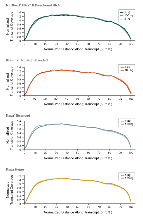 NEBNext® Ultra™ II Directional RNA Library Prep - Maximizing Transcript ...