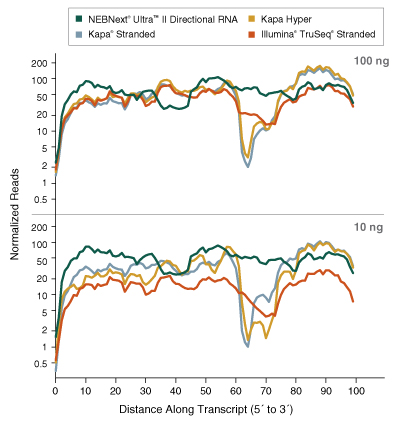 NEBNext® Ultra™ II Directional RNA Library Prep - Maximizing Transcript ...
