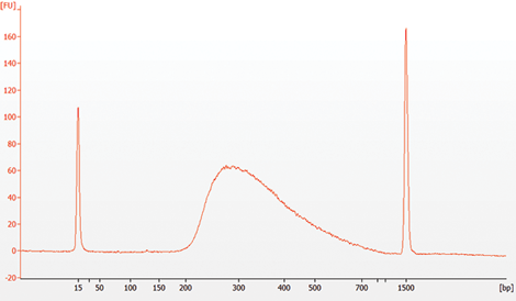 Protocol for Library Preparation of Intact RNA using NEBNext rRNA ...