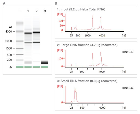Do you have a protocol for separating small and large RNAs into ...