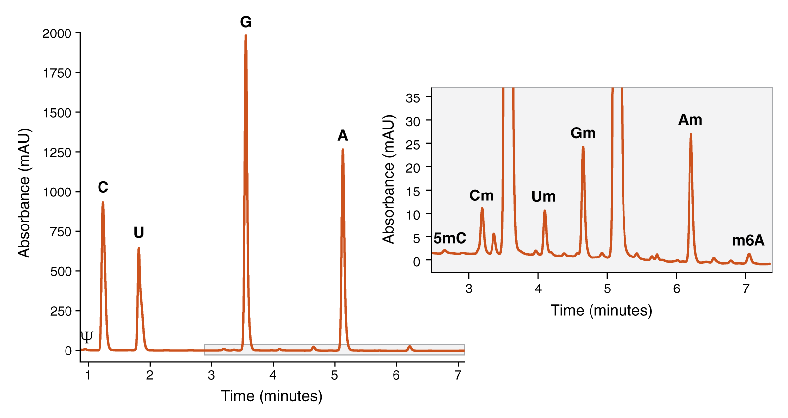 Nucleoside and nucleic acid analysis | NEB Nucleoside and nucleic acid analysis | NEB