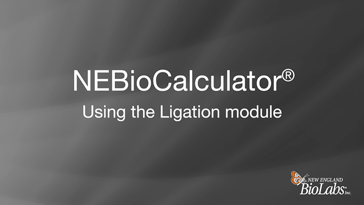 Ligation Protocol For Cloning With Bluntta Ligase Master Mix M0367 Neb