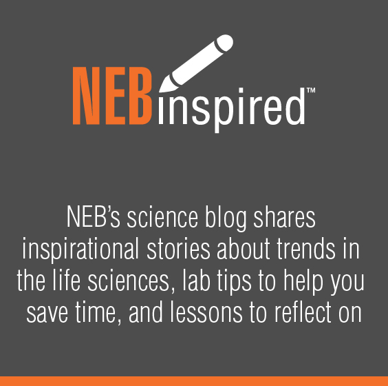 Lambda Dna Neb