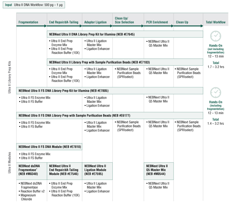 DNA Library Prep for Illumina | NEB